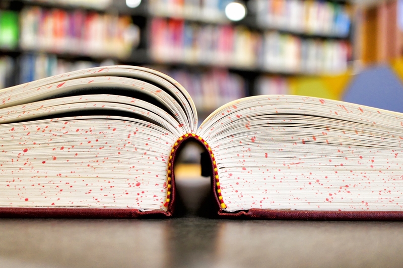 Case Study: LAMP-H Project